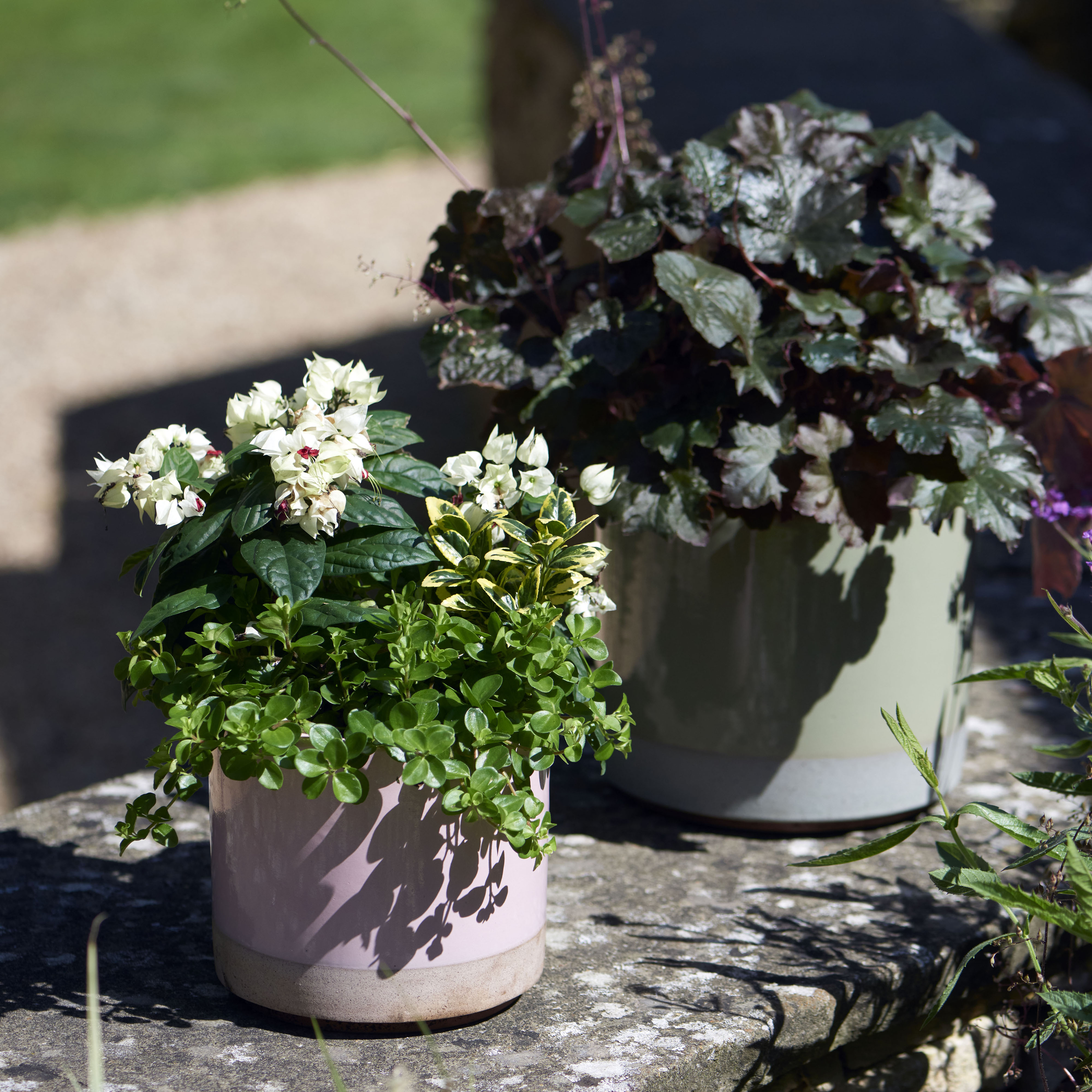 Pastel Pots | Woodlodge Products