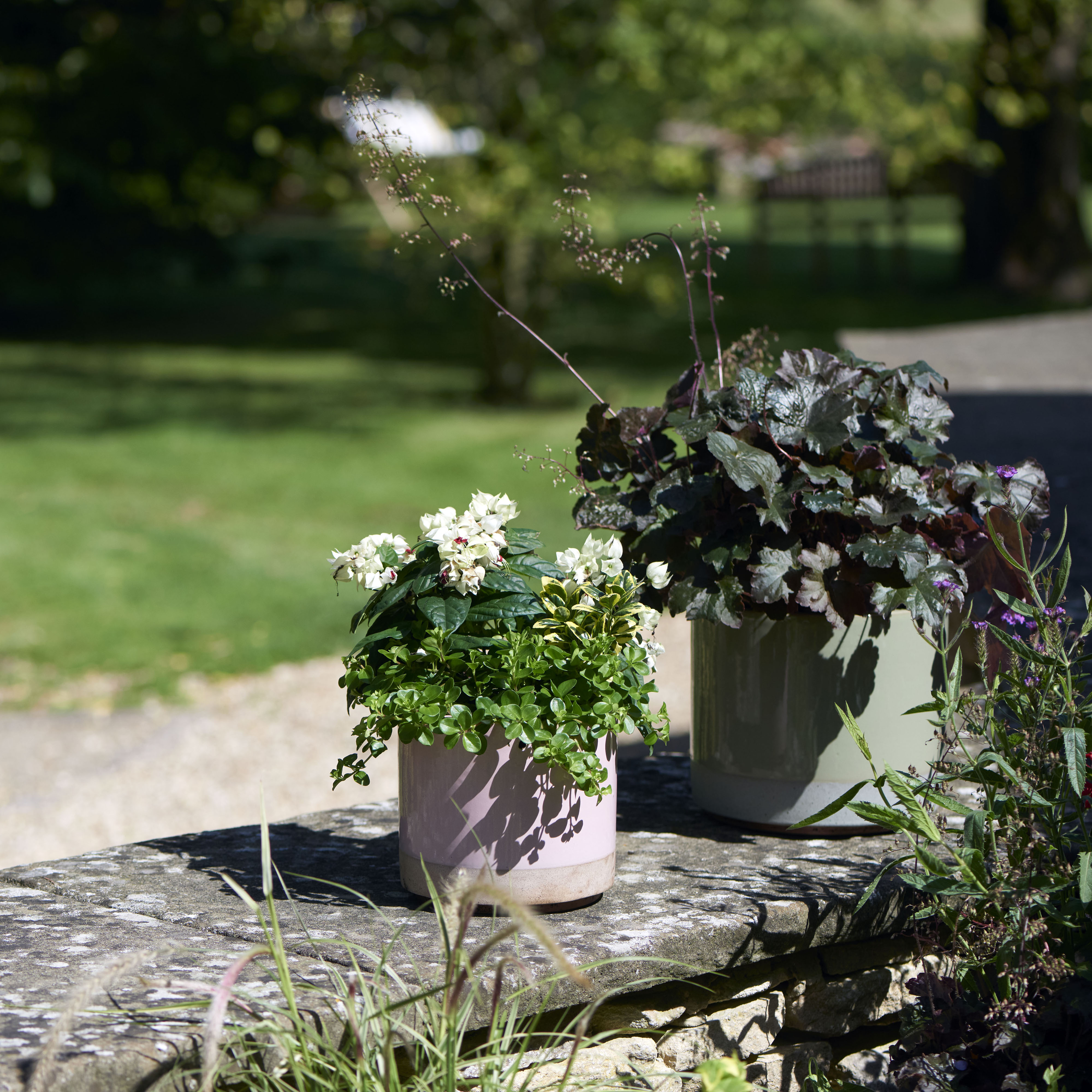 Pastel Pots | Woodlodge Products