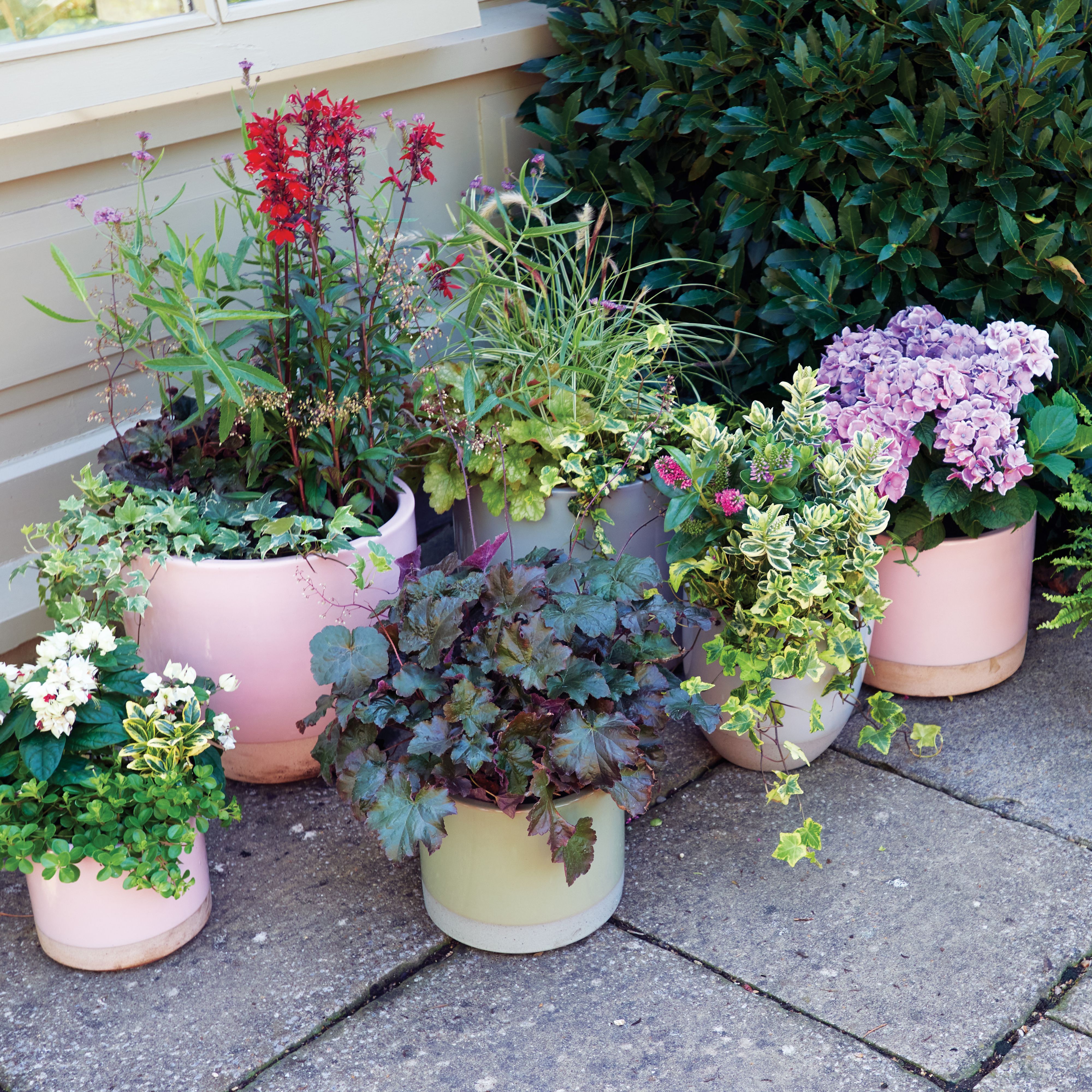 Pastel Pots | Woodlodge Products