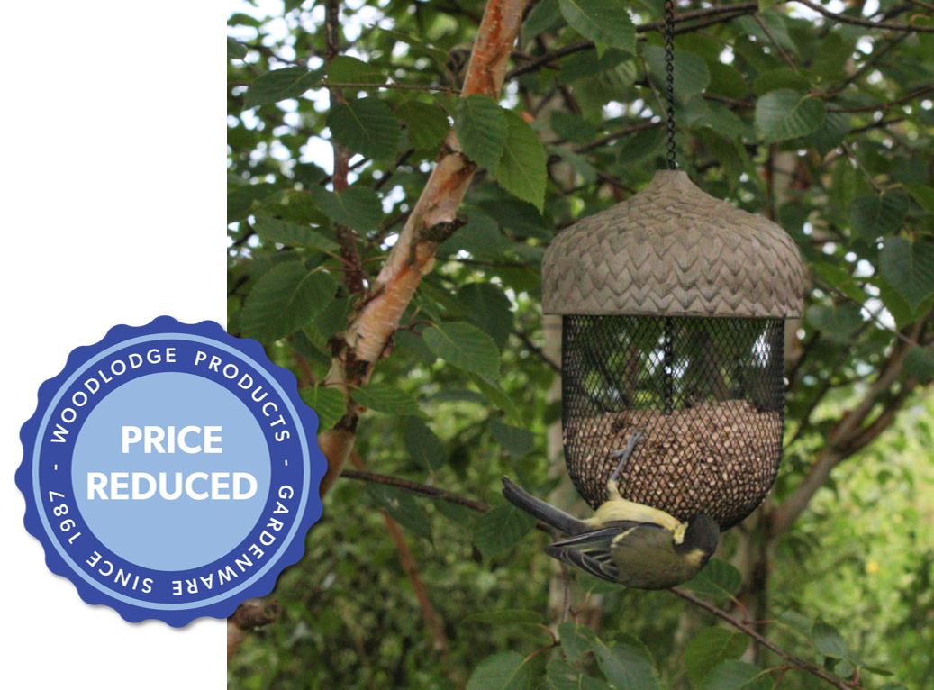 Acorn Seed Feeder Large | Woodlodge Products