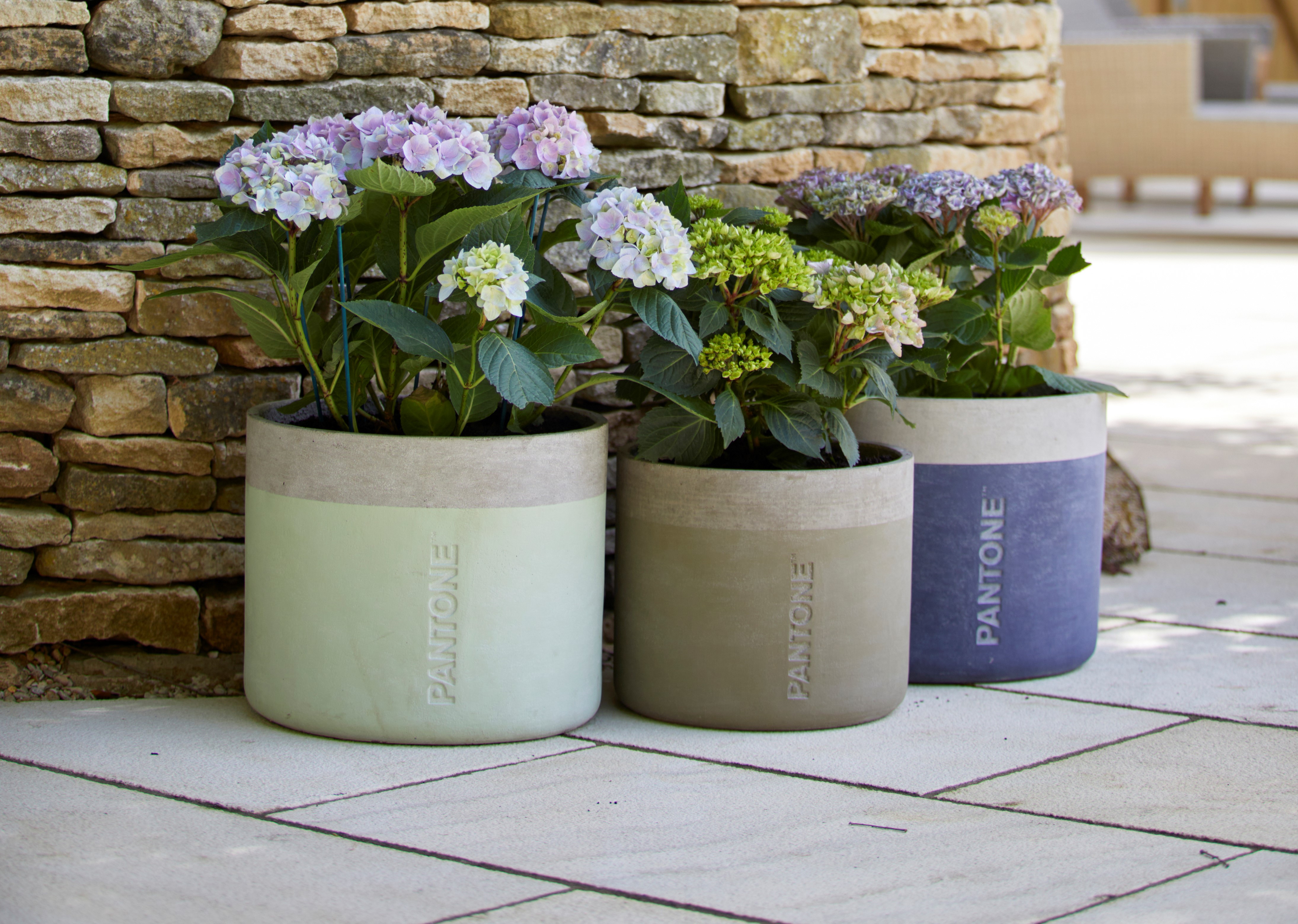 Dipped Pantone Pots | Woodlodge Products