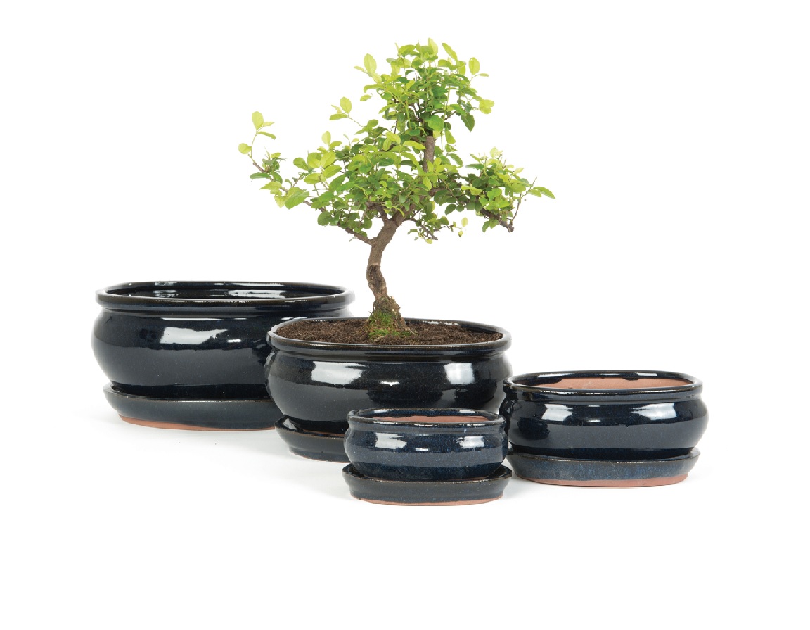 Bonsai Oval Pot & Scers Bl | Woodlodge Products