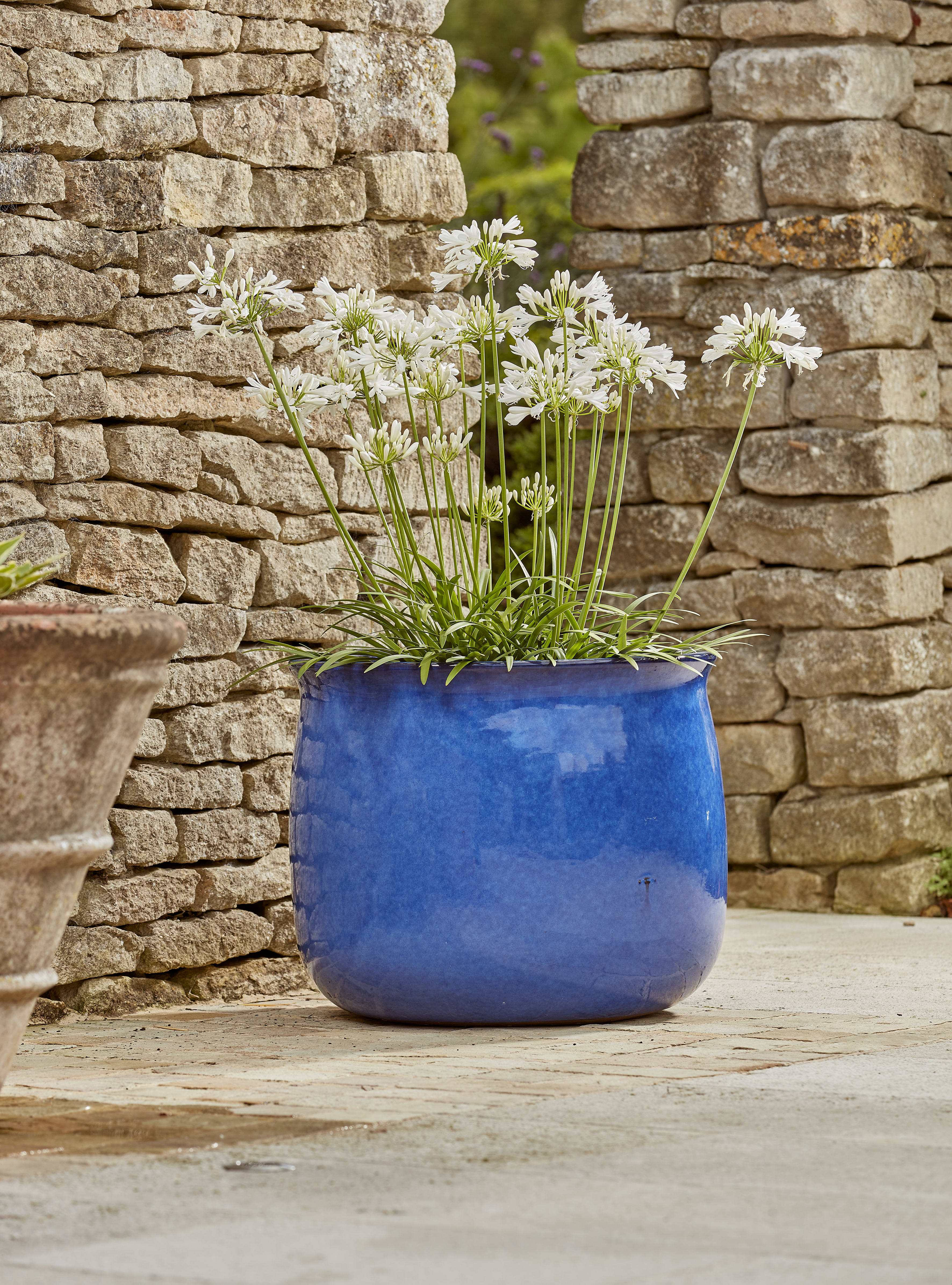 Ariel Pots | Woodlodge Products