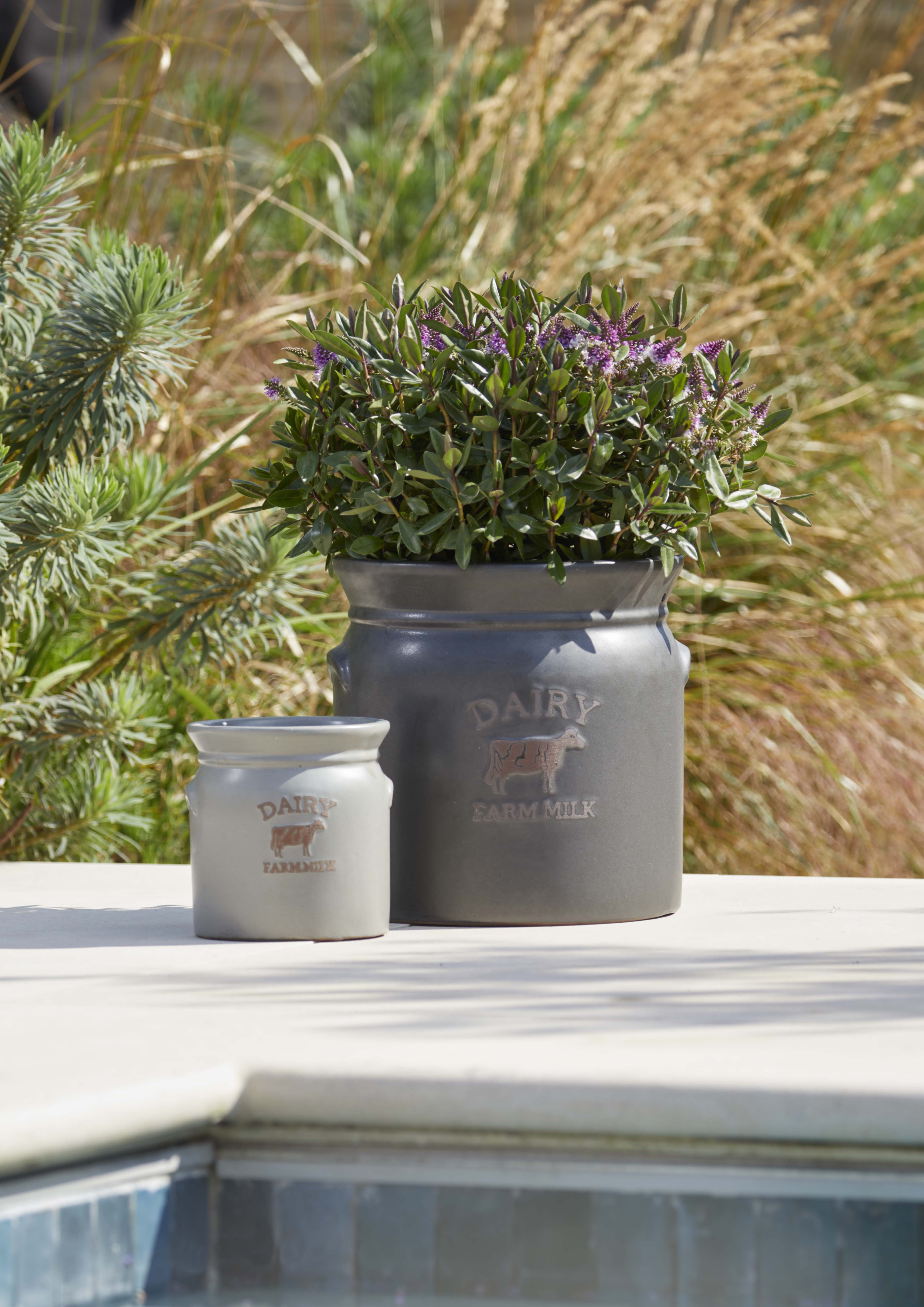 Dairy Pots | Woodlodge Products