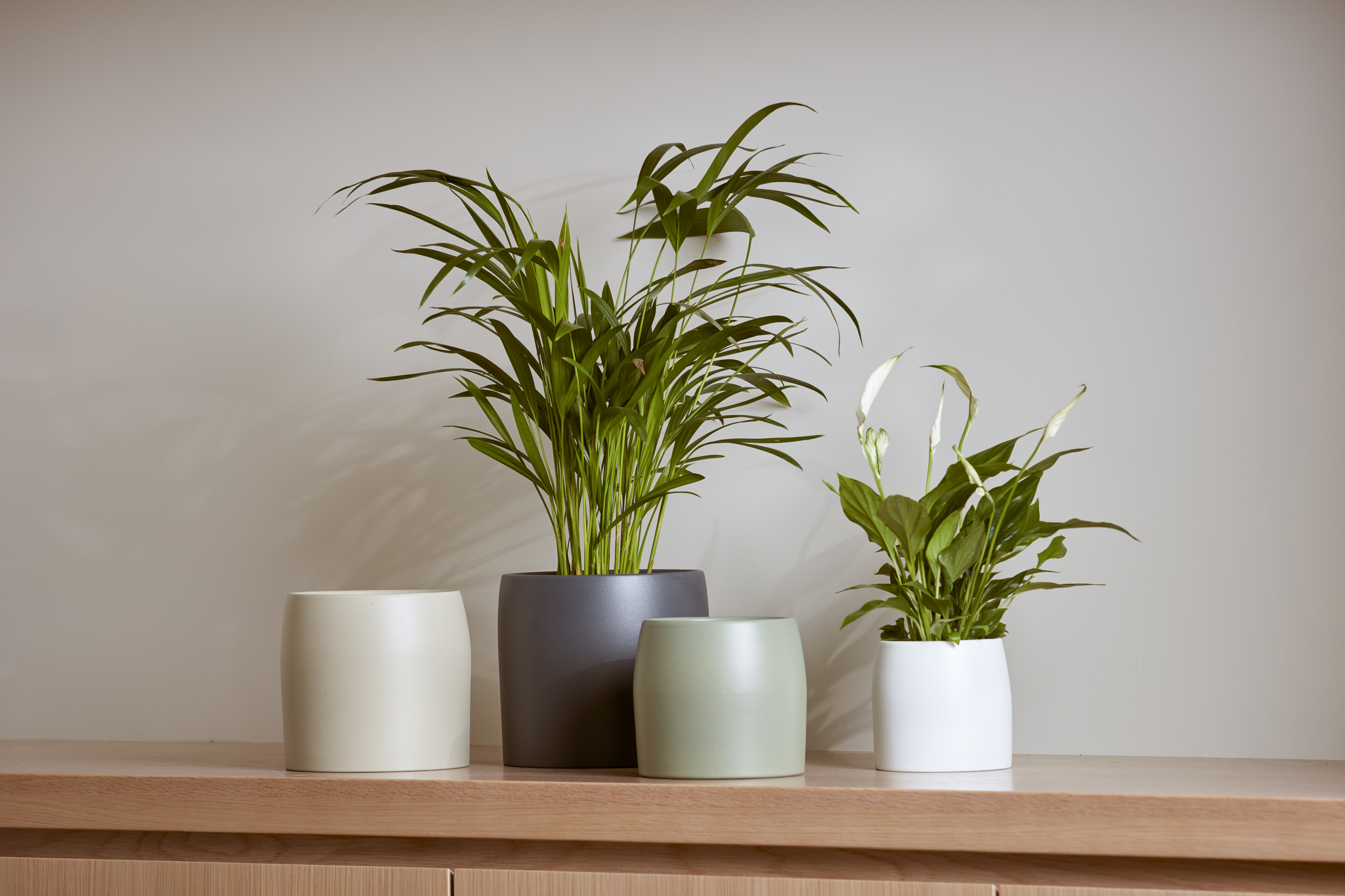 Pisa Pot White 10cm | Woodlodge Products