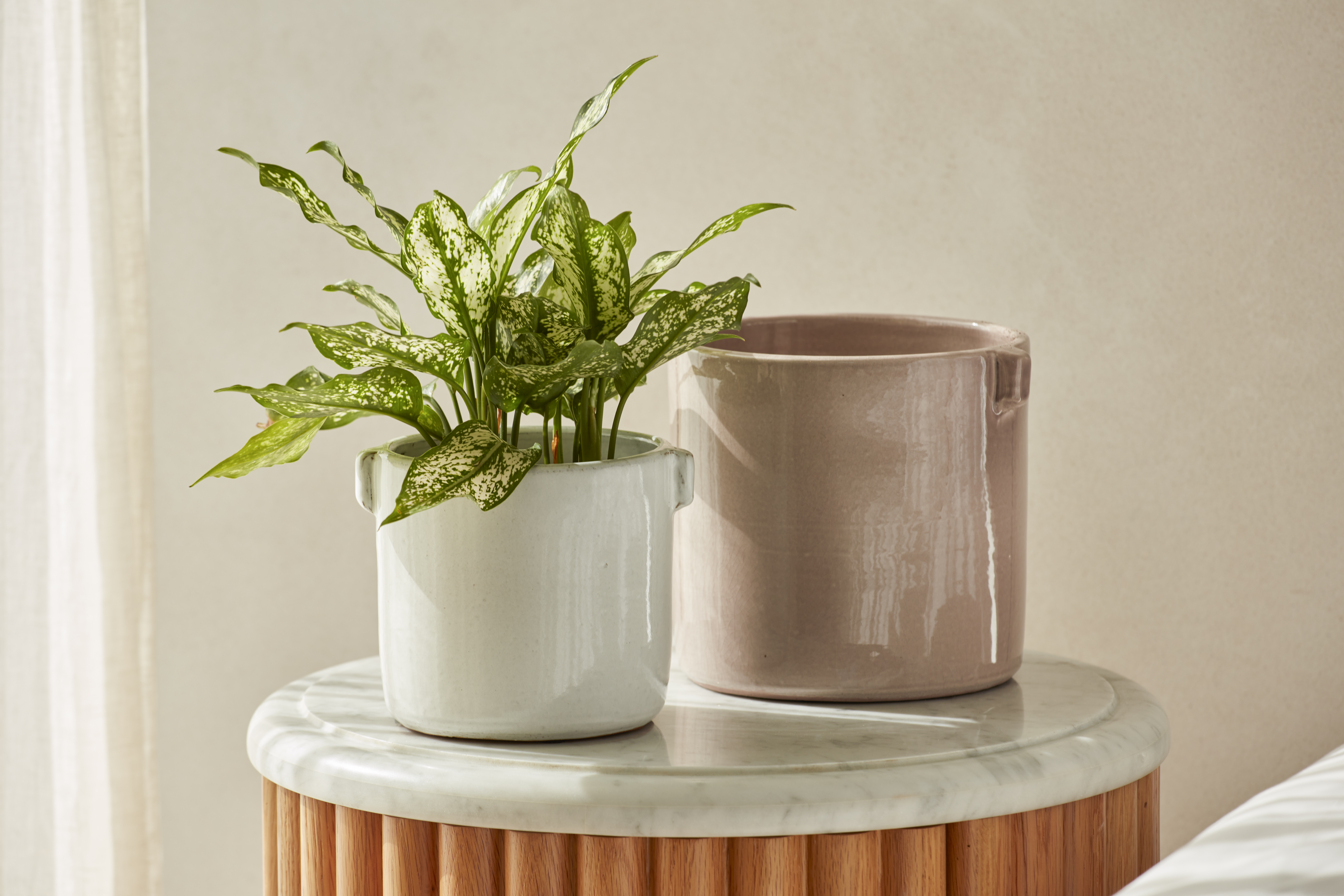 Telma Pot Pink 14cm | Woodlodge Products