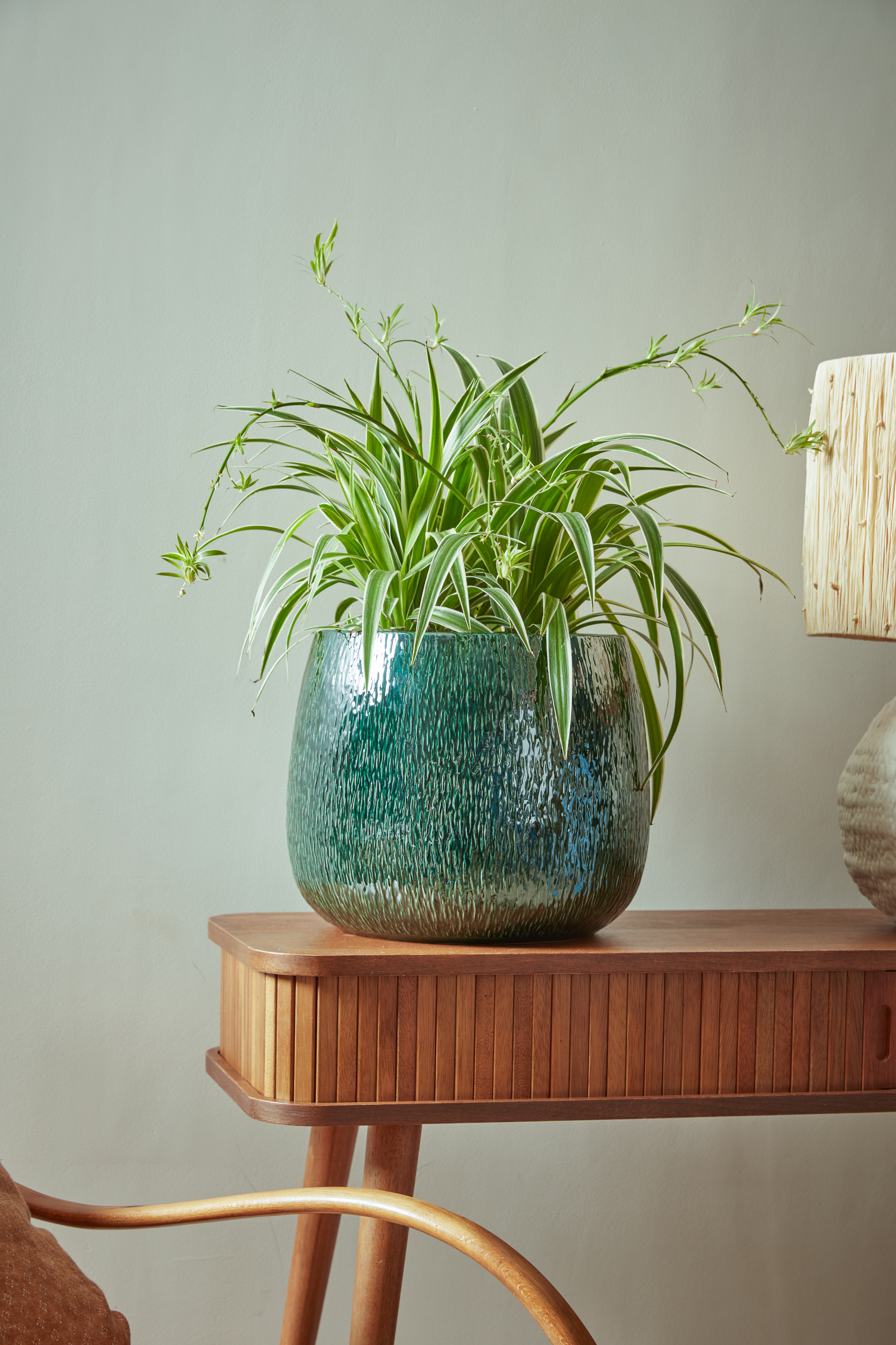 Zara Pot Green 17cm | Woodlodge Products